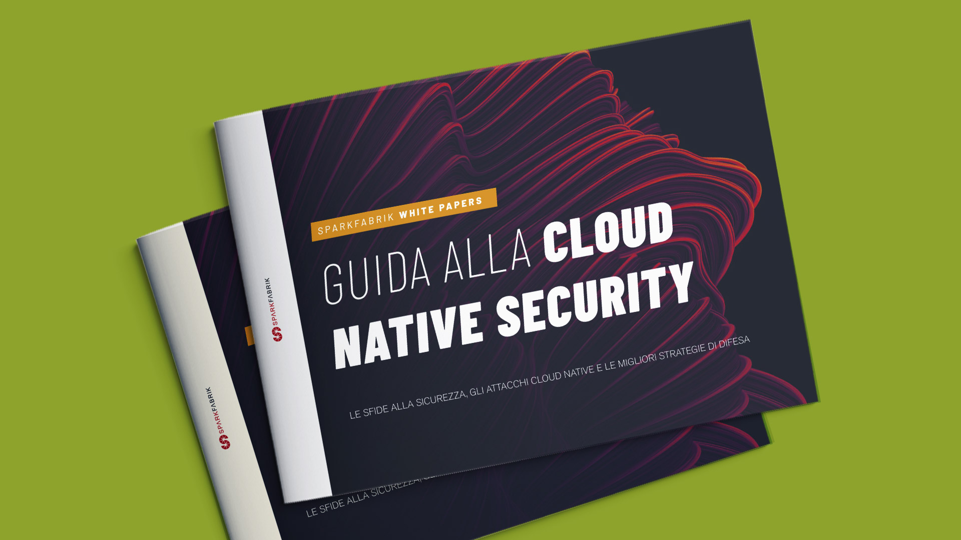 Guida alla Cloud Native Security